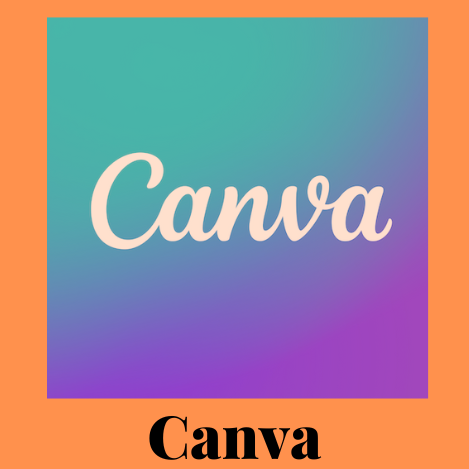 Tayyaba Rehman – WordPress Developer